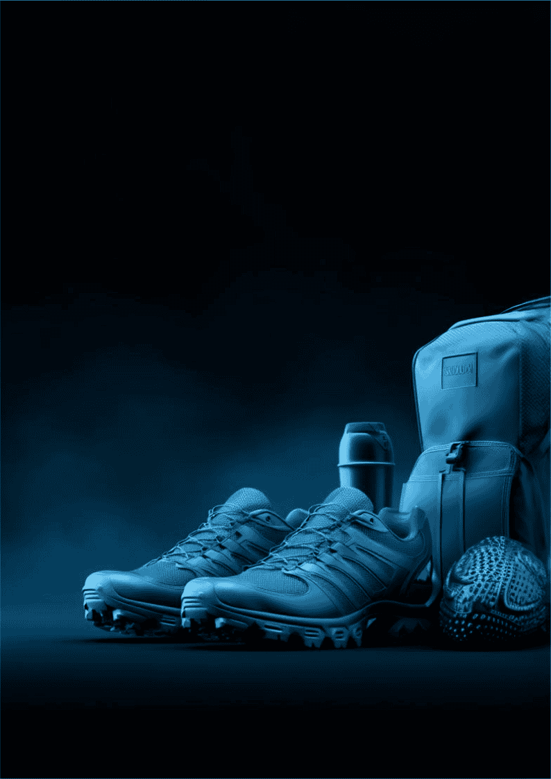 Intersport case study - Quicklizard